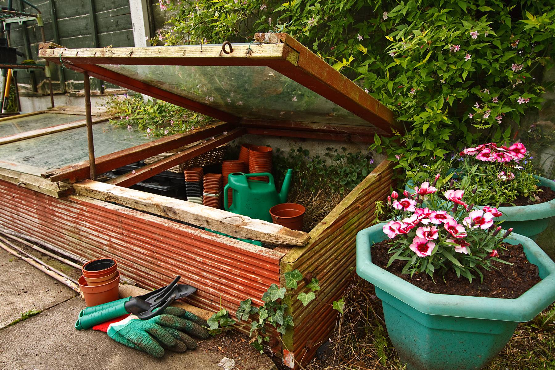 How to Build a Cold Frame Step by Step – Mother Earth News